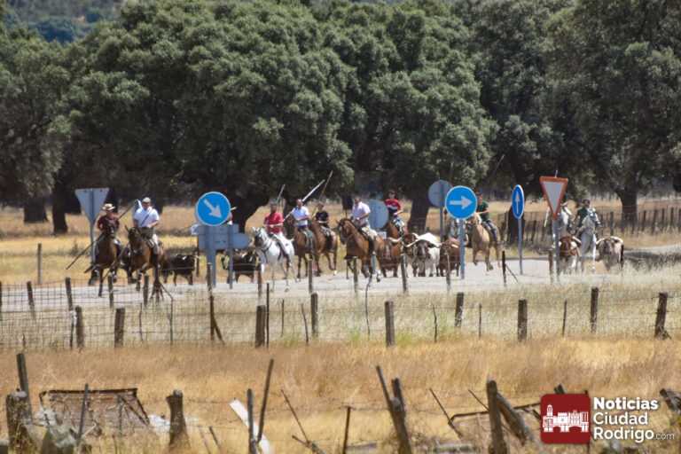 GALERÍA DE FOTOS/ Campillo de Azaba disfruta de un intenso y caótico ...